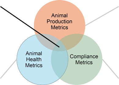 Animal Welfare Framework Project